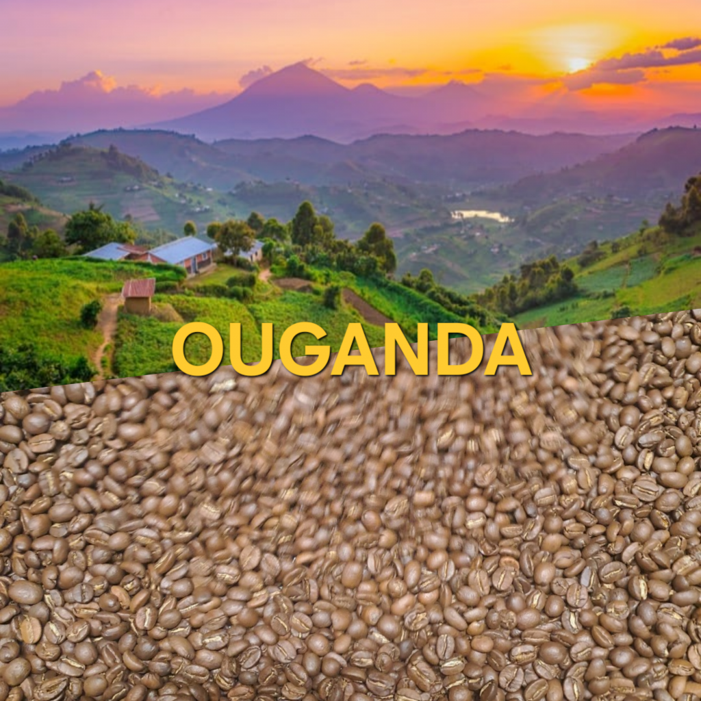 Ouganda : Clarke - Max a un grain
